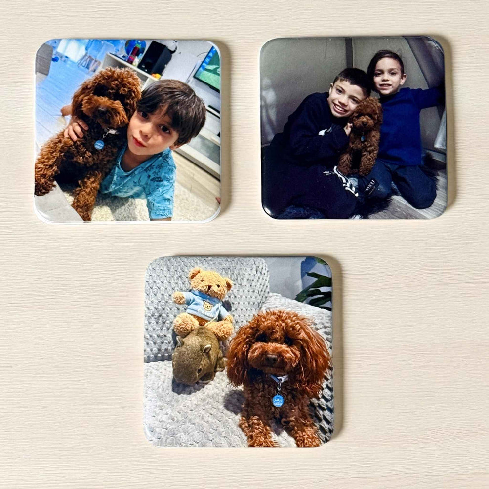 Custom Photo Magnet Set of 3 – 50mm Personalized Fridge Magnets ...